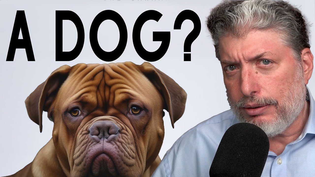 Rabbi Tovia Singer Cannot Stop Barking At Christianity! - IN THY WORD